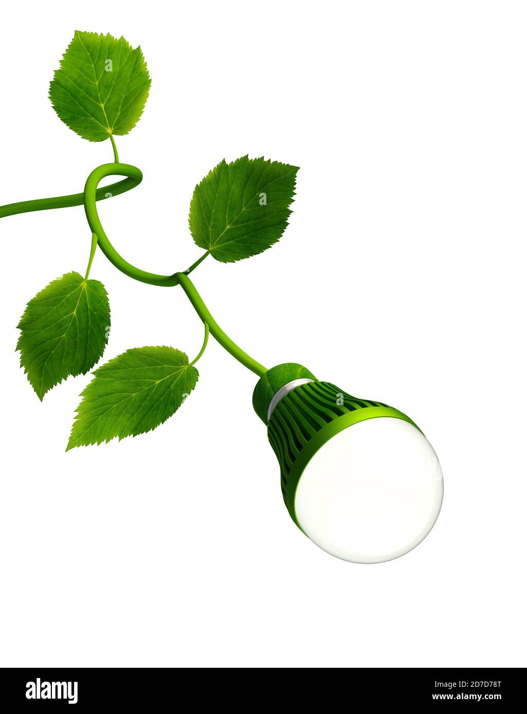 Leaf stem illustration hi-res stock photography and images - Alamy