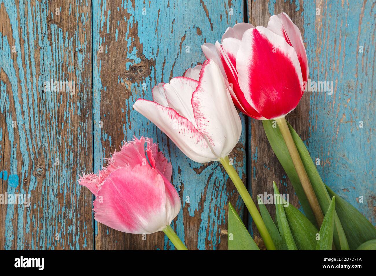 Tulips flowers bouquet of wooden boards as a background Stock Photo - Alamy