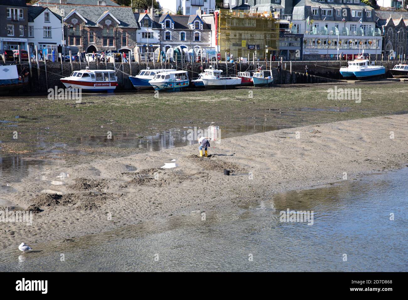 A lady digging in the sand at Looe in Cornwall, UK Stock Photo - Alamy