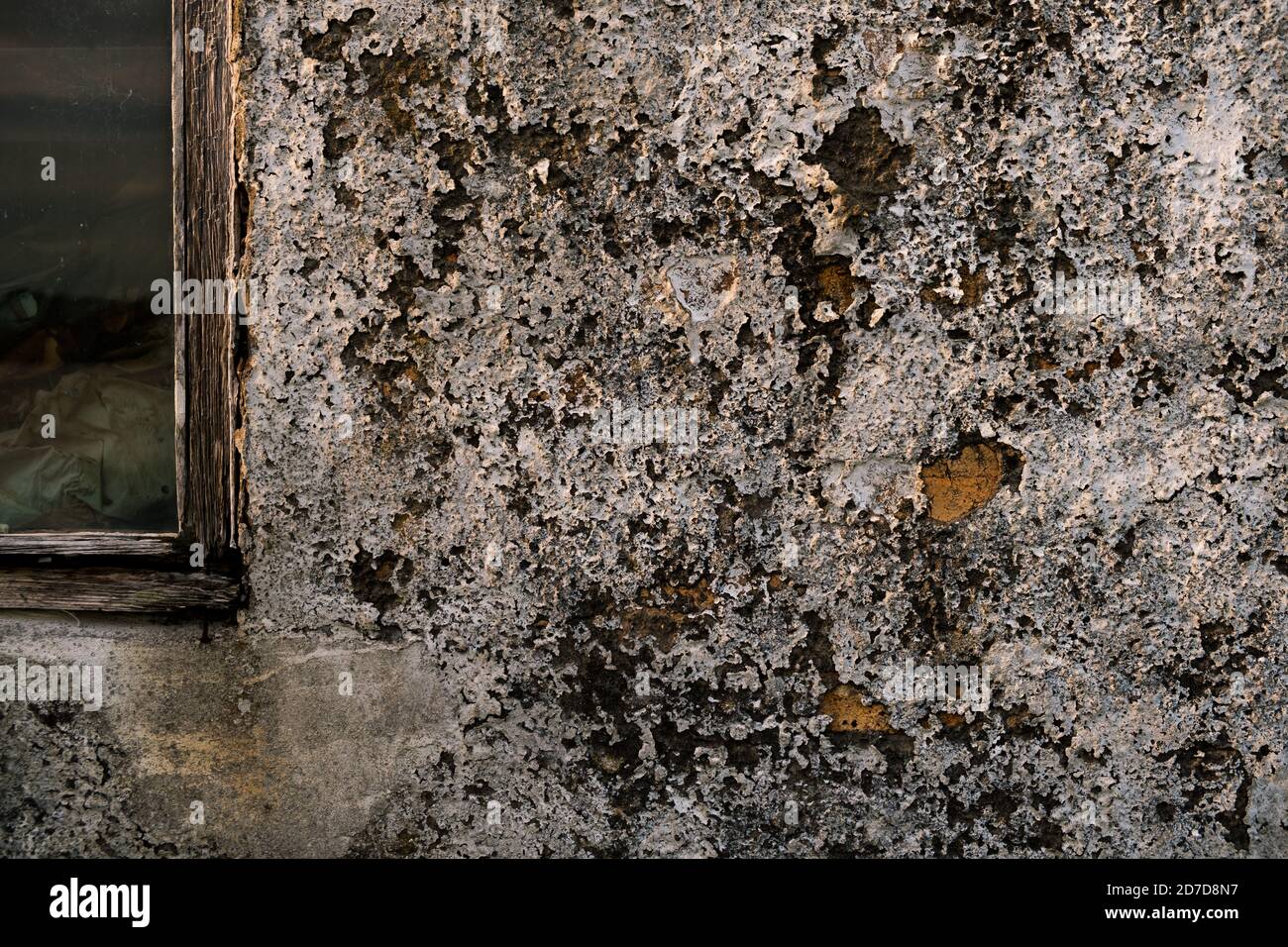 Texture detail of crumbling painted wall white Stock Photo - Alamy