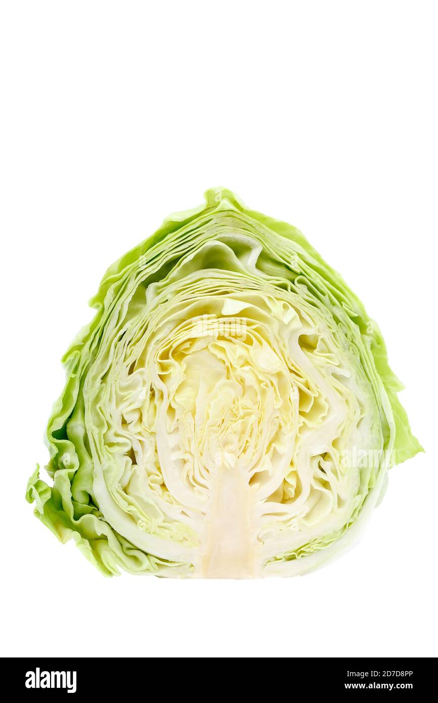 Fresh cabbage head isolated on white background Stock Photo - Alamy