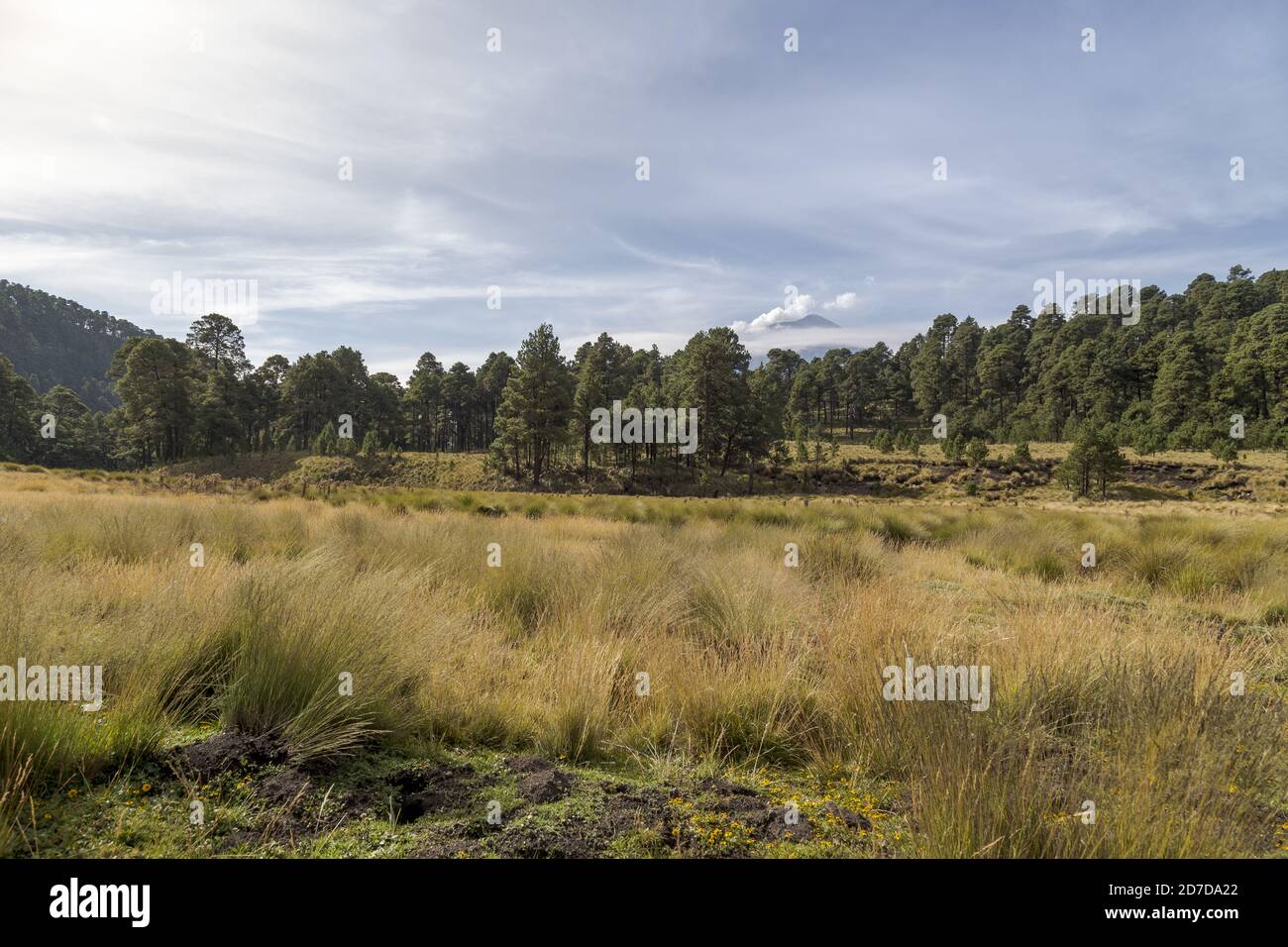 Stunning landscape view of a dry grass field under a beautifully ...