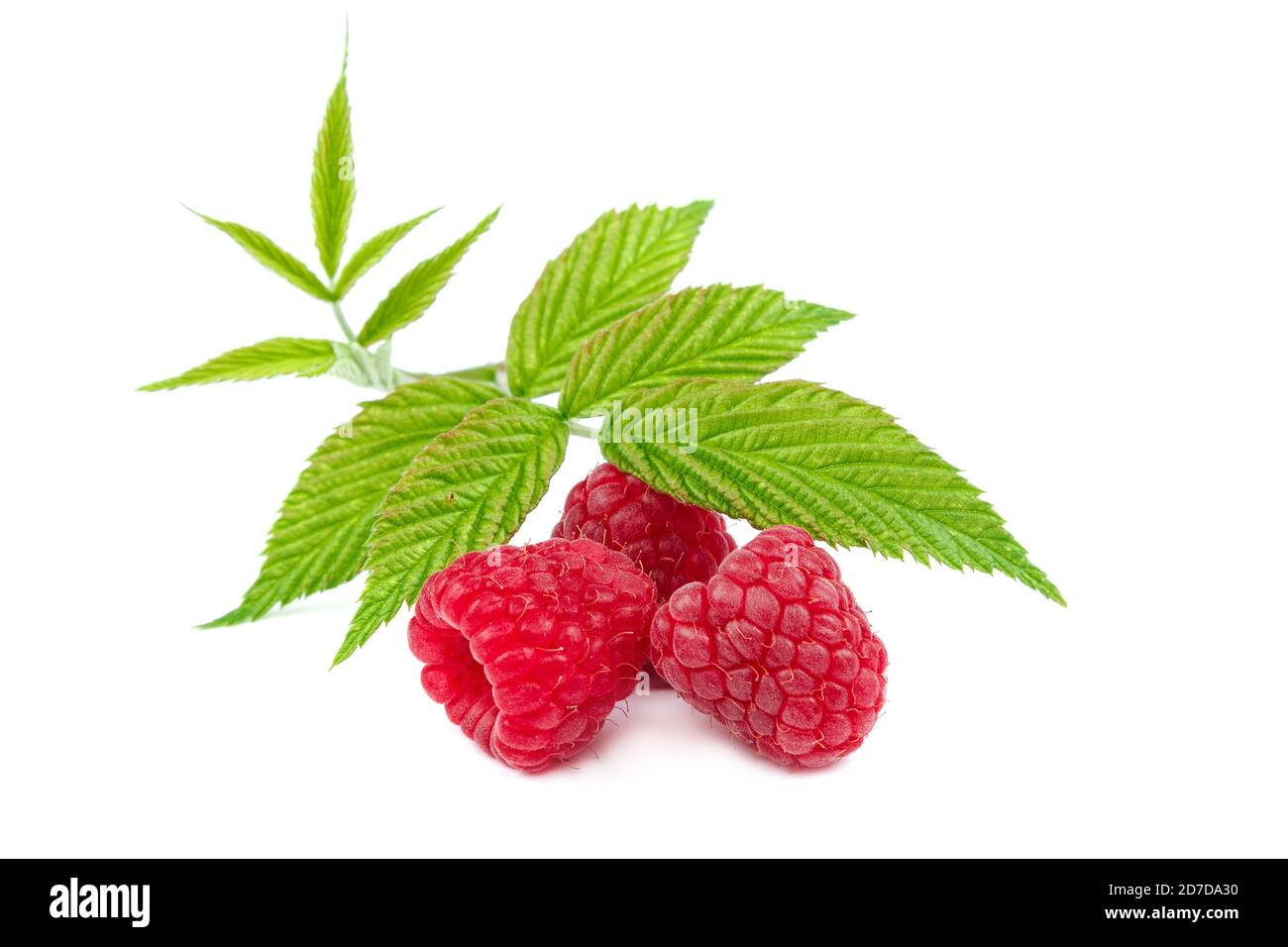 Fruits raspberries isolated on a white background Stock Photo - Alamy
