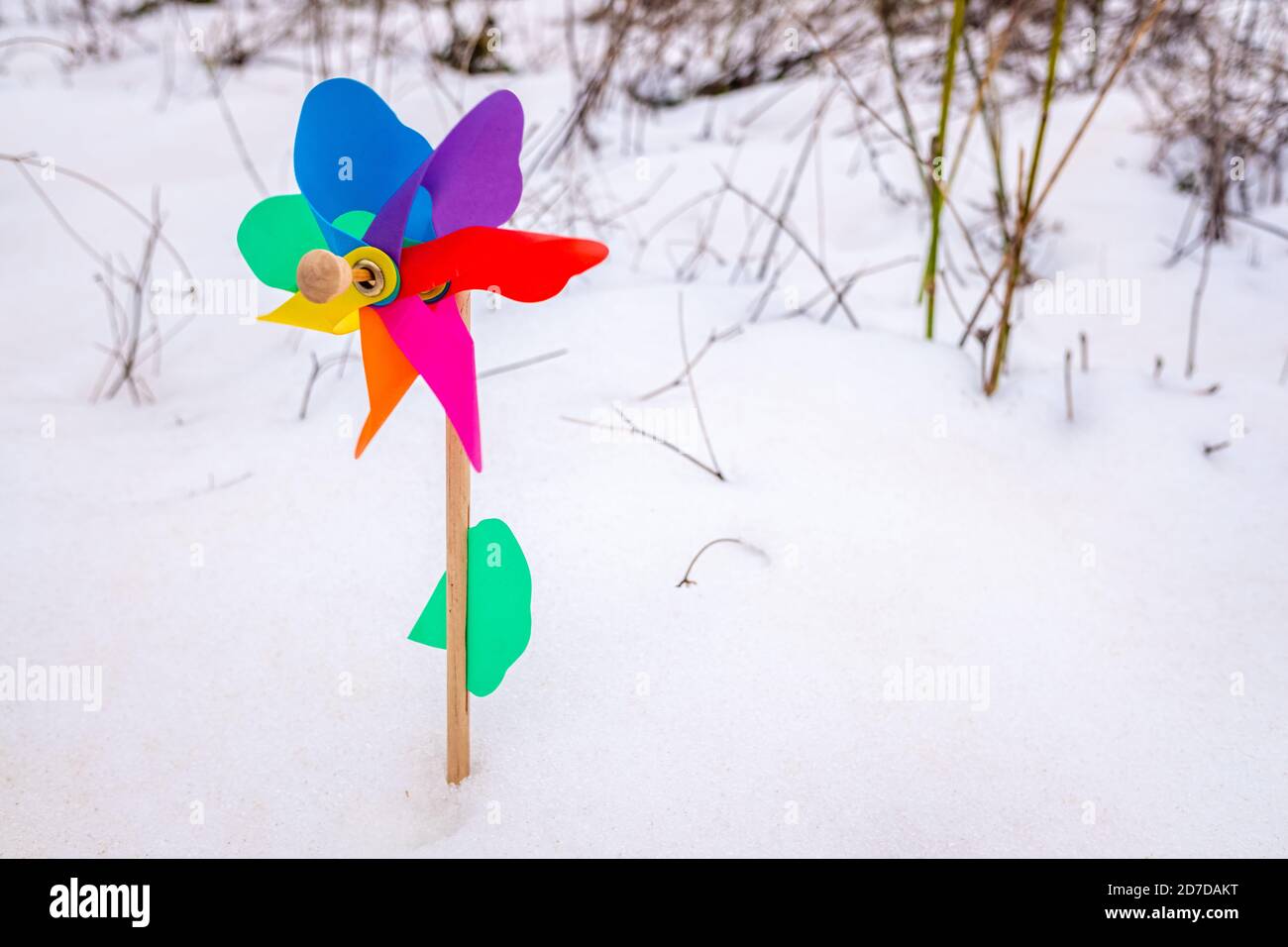 Colorful toy pinwheel on the white snow, background with copy space ...