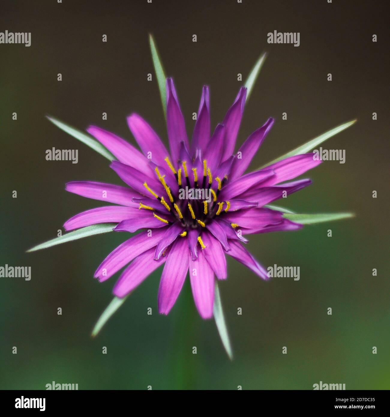 Floating art work hi-res stock photography and images - Alamy