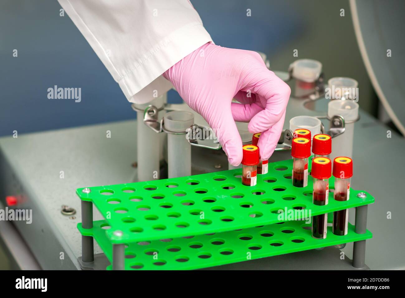 Medical technician taking blood sample tube from rack in the research ...