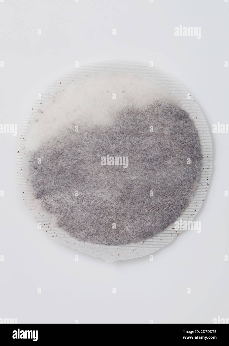 Round traditional black tea teabag isolated on white background Stock ...