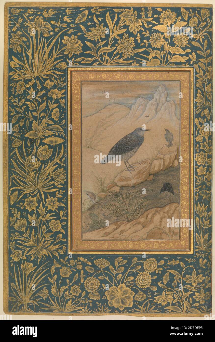 Zoo album hi-res stock photography and images - Alamy