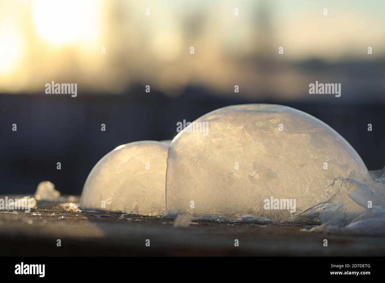 Soap bubbles freeze in the cold. Winter soapy water freezes in air ...