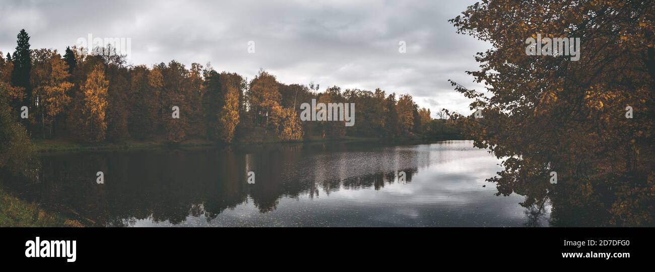 Beautiful scene with forest lake and reflection on water surface Stock ...