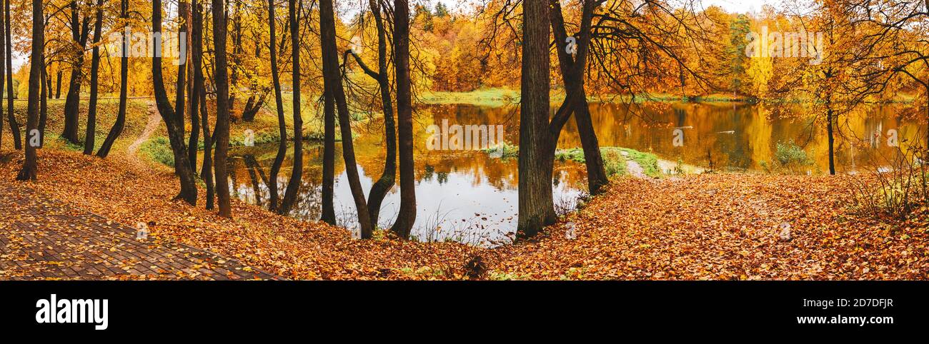 Beautiful scene with forest lake and reflection on water surface Stock ...