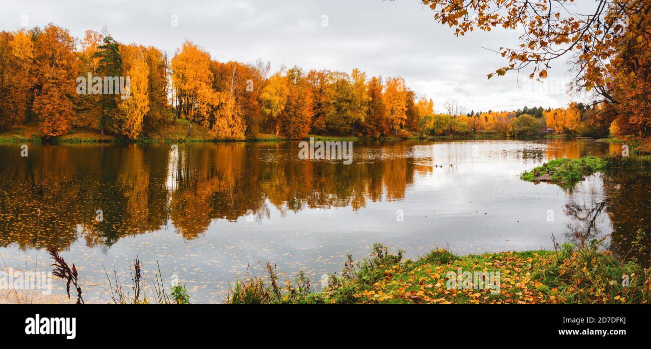 Beautiful scene with forest lake and reflection on water surface Stock ...