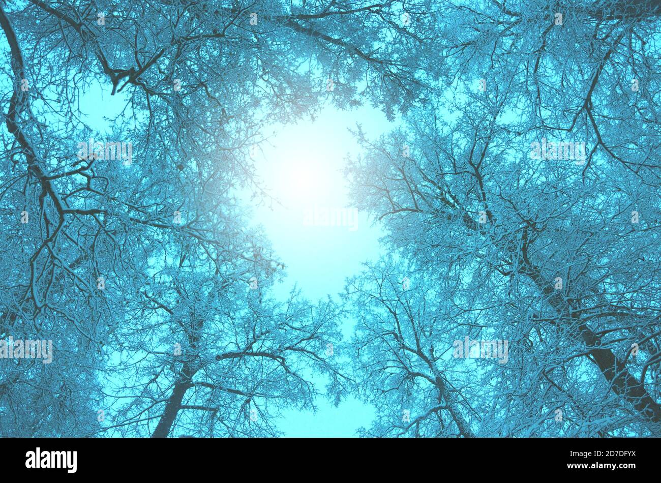 Snowy bottom hi-res stock photography and images - Alamy