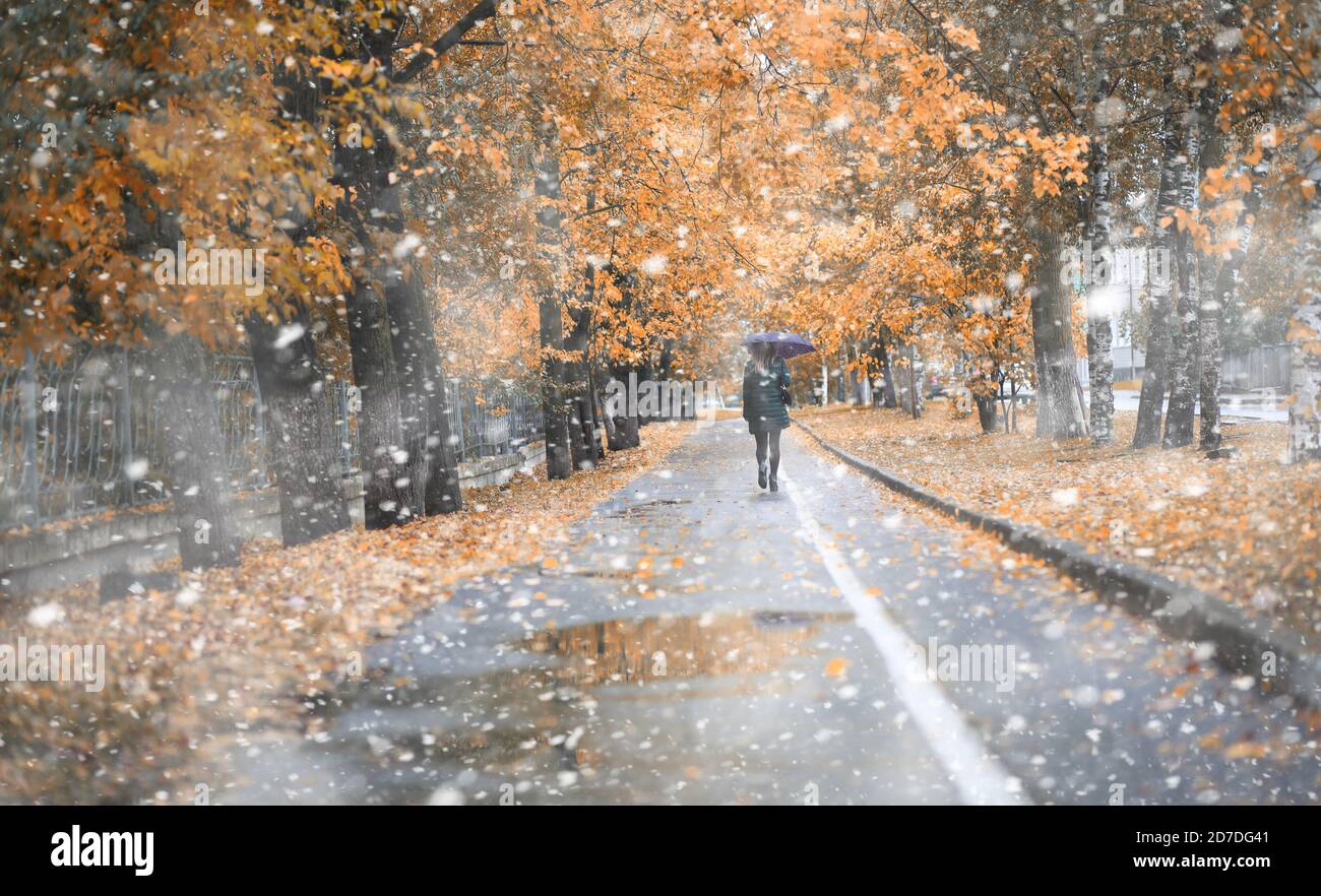 Autumn park in the days of the first snow Stock Photo - Alamy