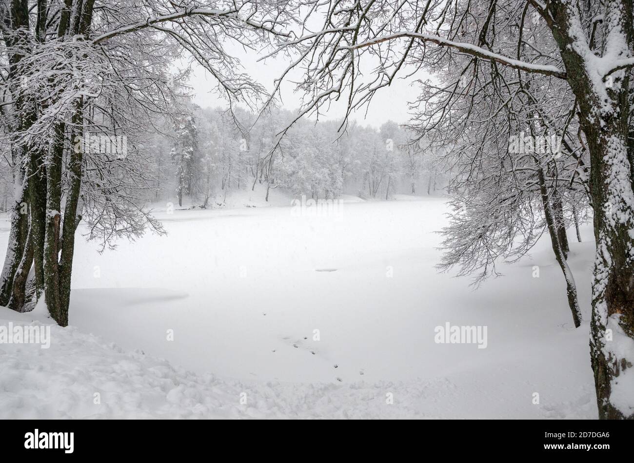 The silence of snowfall hi-res stock photography and images - Alamy