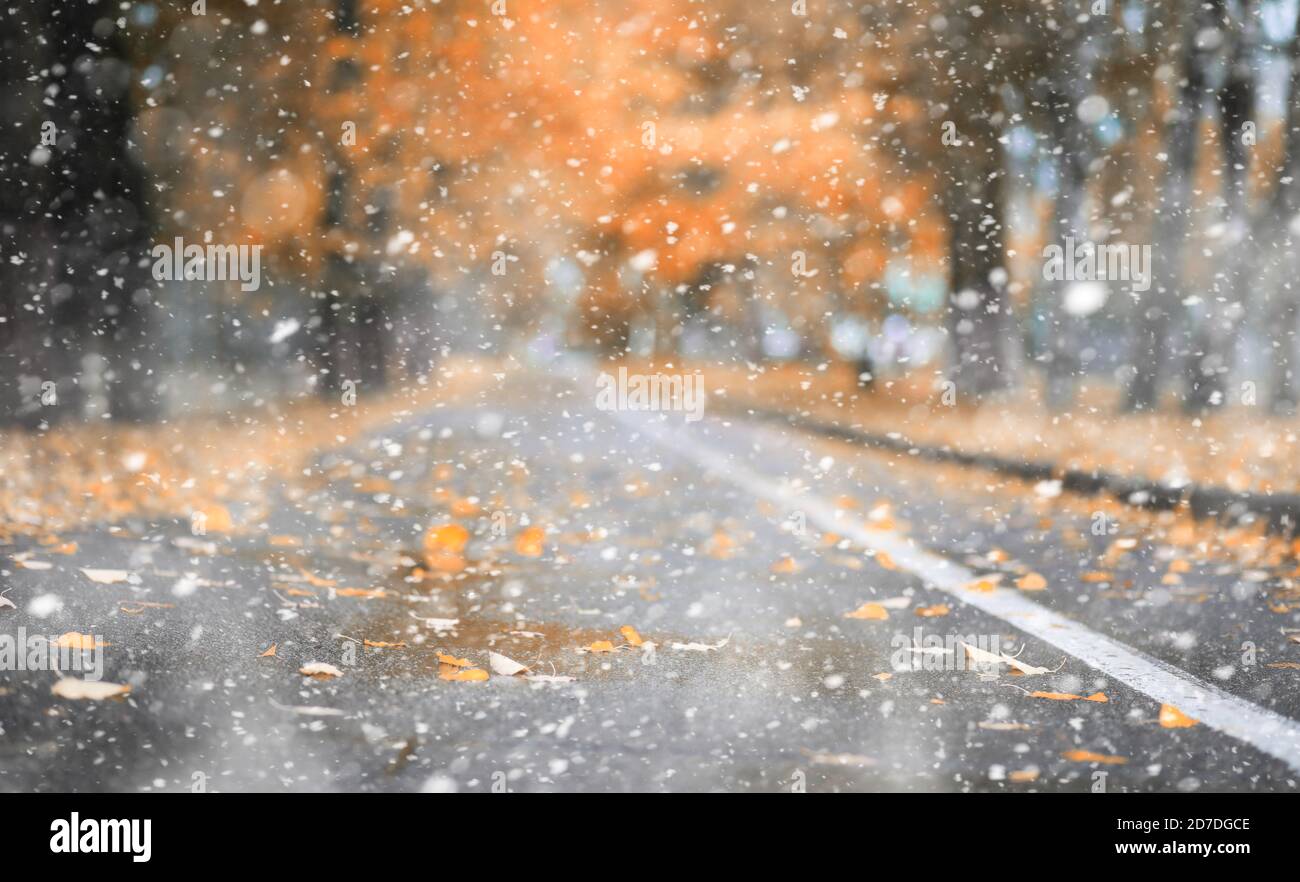 Autumn park in the days of the first snow Stock Photo - Alamy