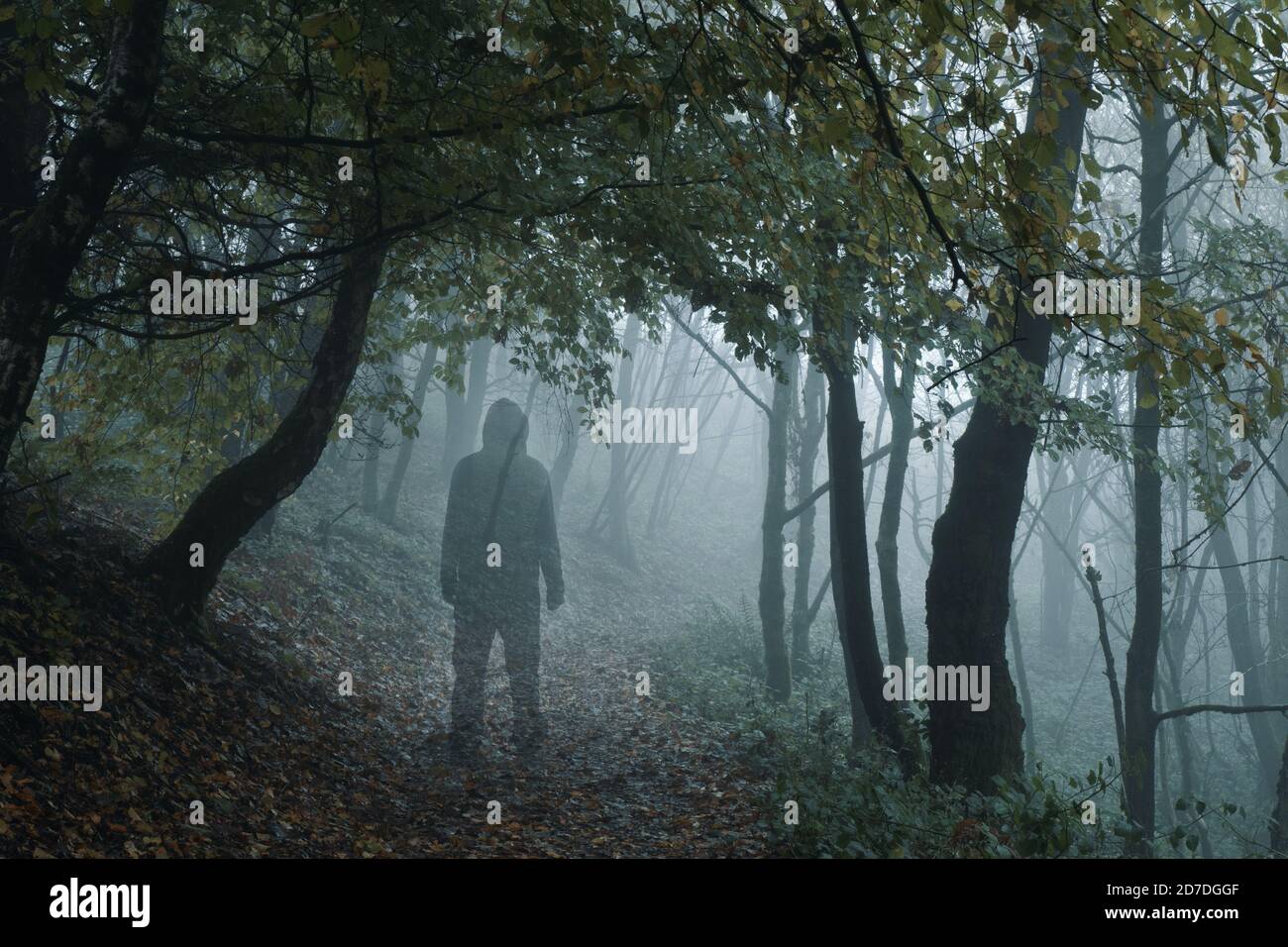 Hooded figure forest hi-res stock photography and images - Alamy