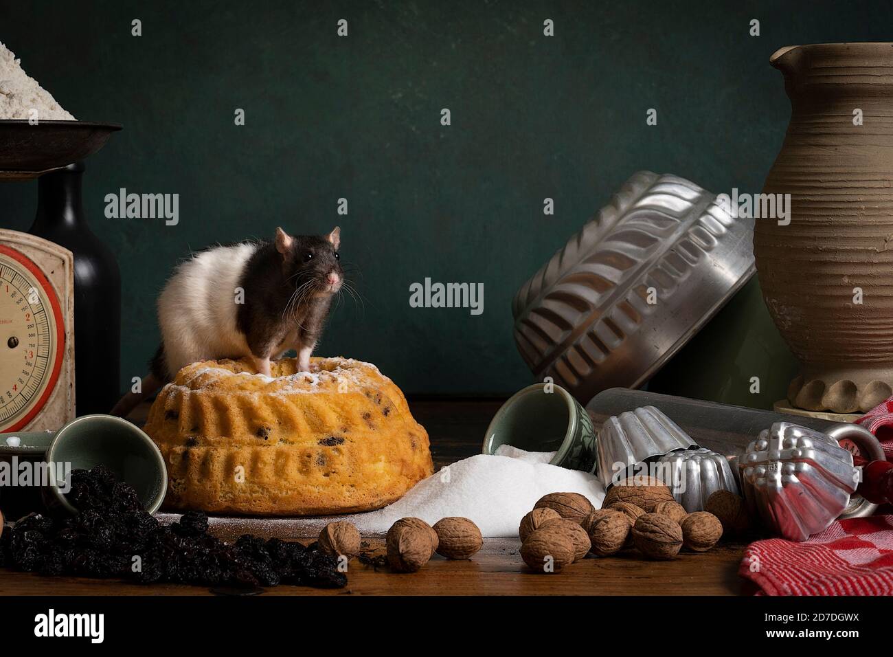 A Cute white and brown rat sitting in a stil life scene themed baking ...