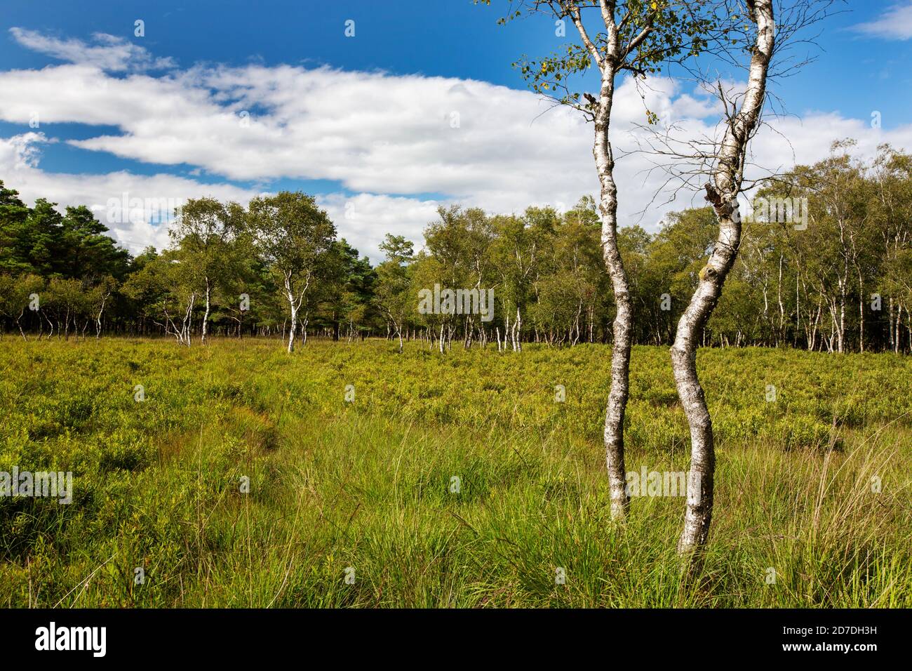 Valley mire uk cumbria hi-res stock photography and images - Alamy