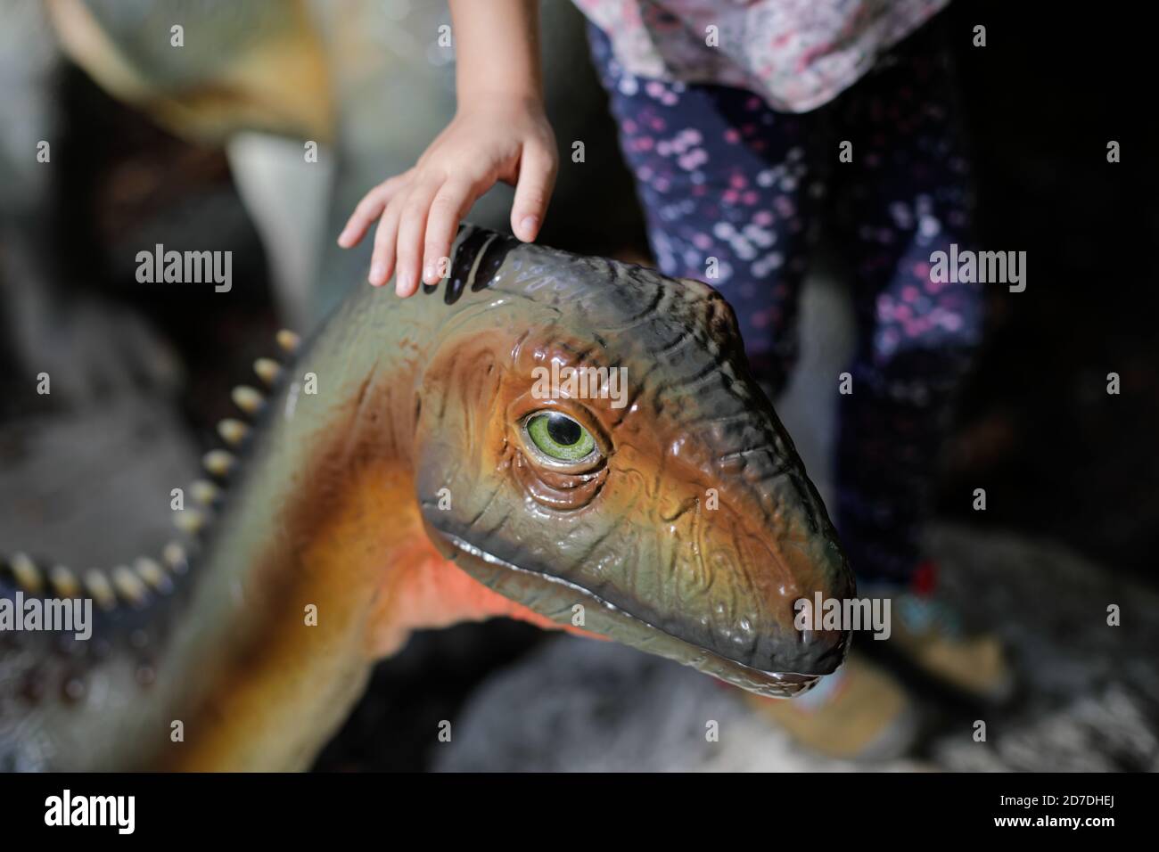 Rasnov, Romania - October 3, 2020: Details with a dinosaur model at an ...