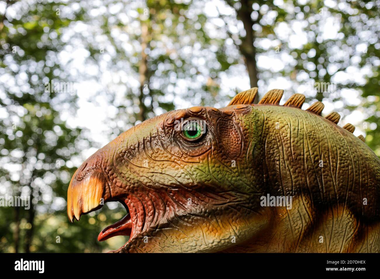 Rasnov, Romania - October 3, 2020: Details with a dinosaur model at an ...