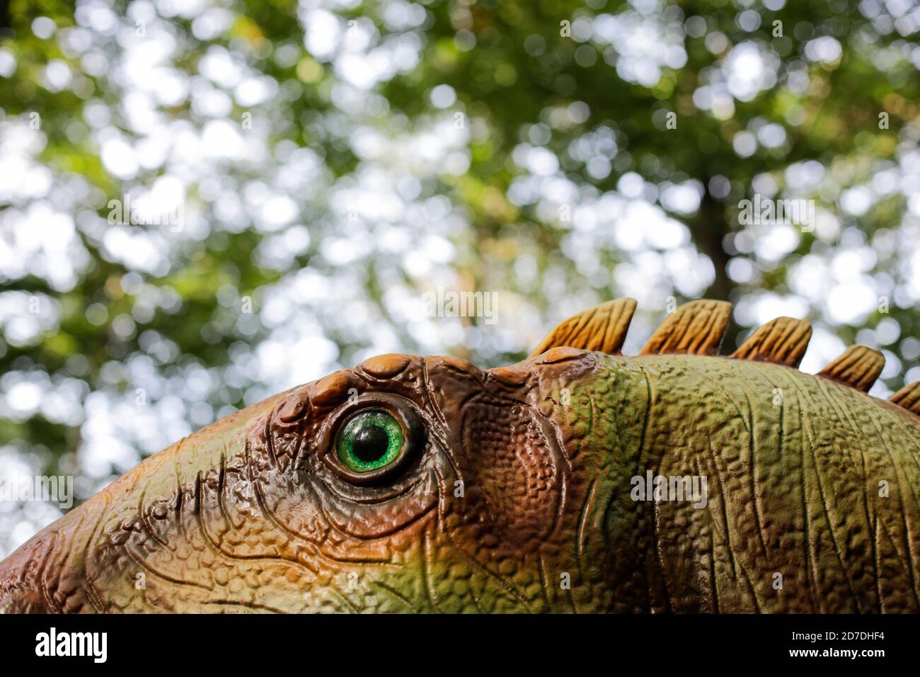 Rasnov, Romania - October 3, 2020: Details with a dinosaur model at an ...