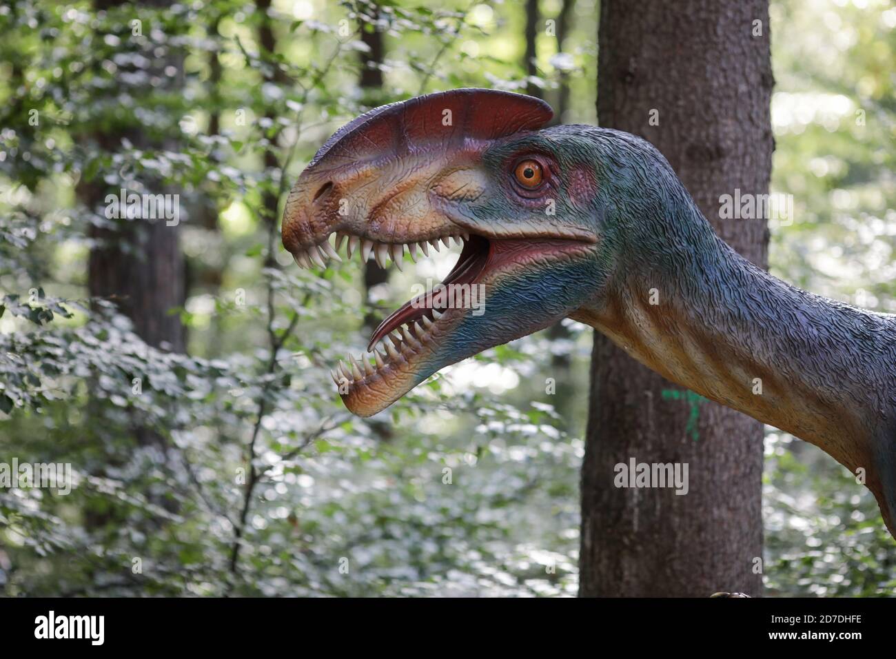 Rasnov, Romania - October 3, 2020: Details with a Dilophosaurus ...