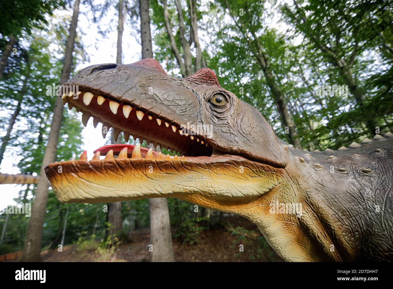 Rasnov, Romania - October 3, 2020: Details with a dinosaur model at an ...