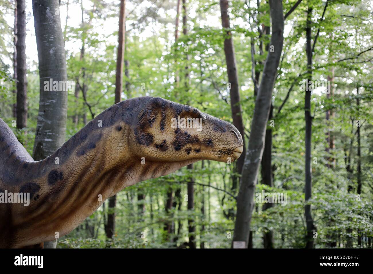 Rasnov, Romania - October 3, 2020: Details with a dinosaur model at an ...