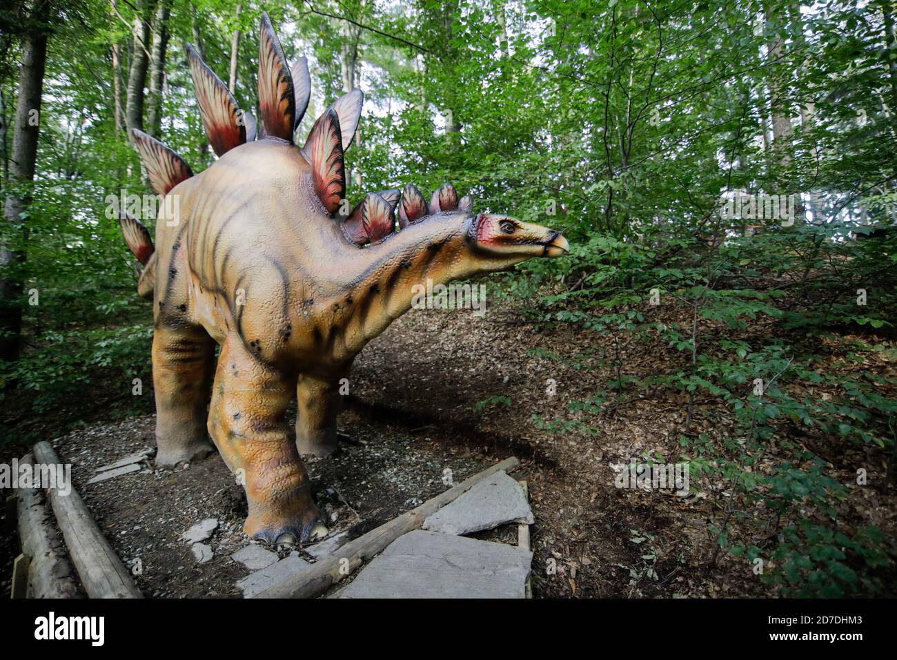 Rasnov, Romania - October 3, 2020: Details with a Stegosaurus dinosaur ...