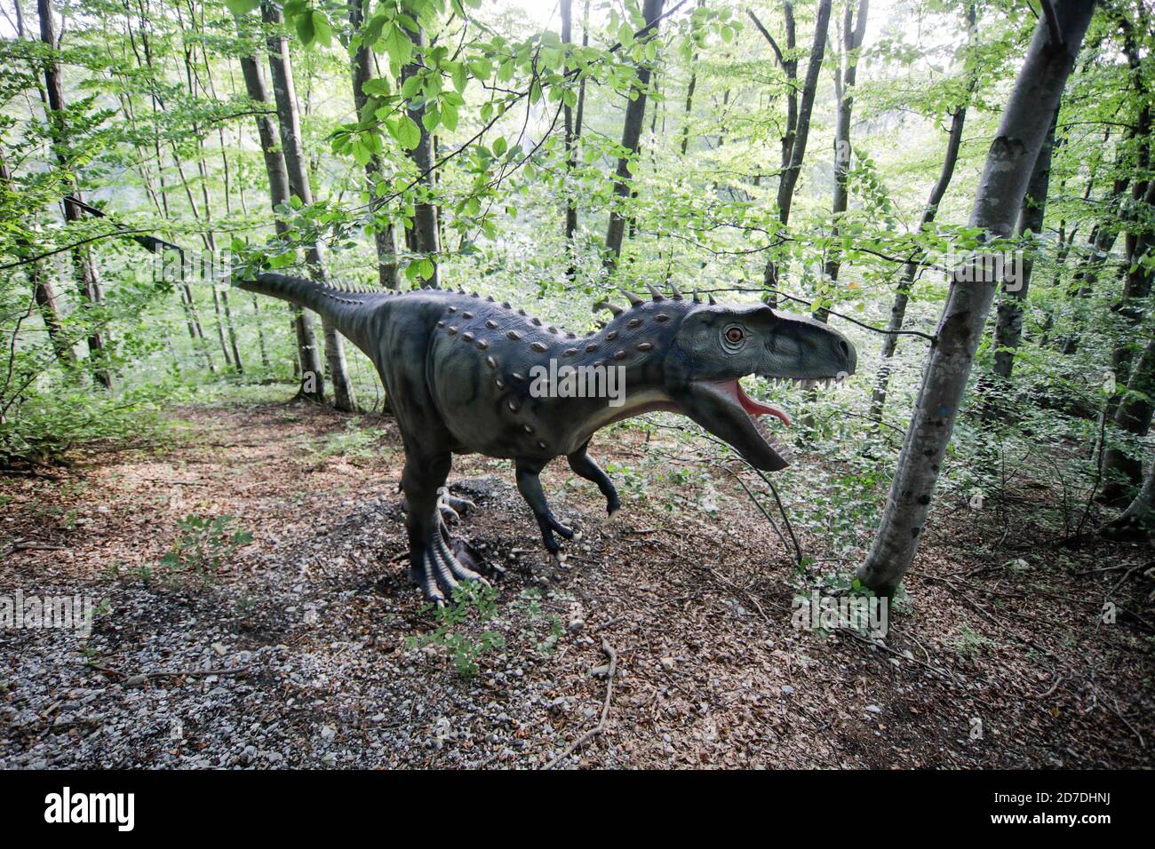 Rasnov, Romania - October 3, 2020: Details with a dinosaur model at an ...