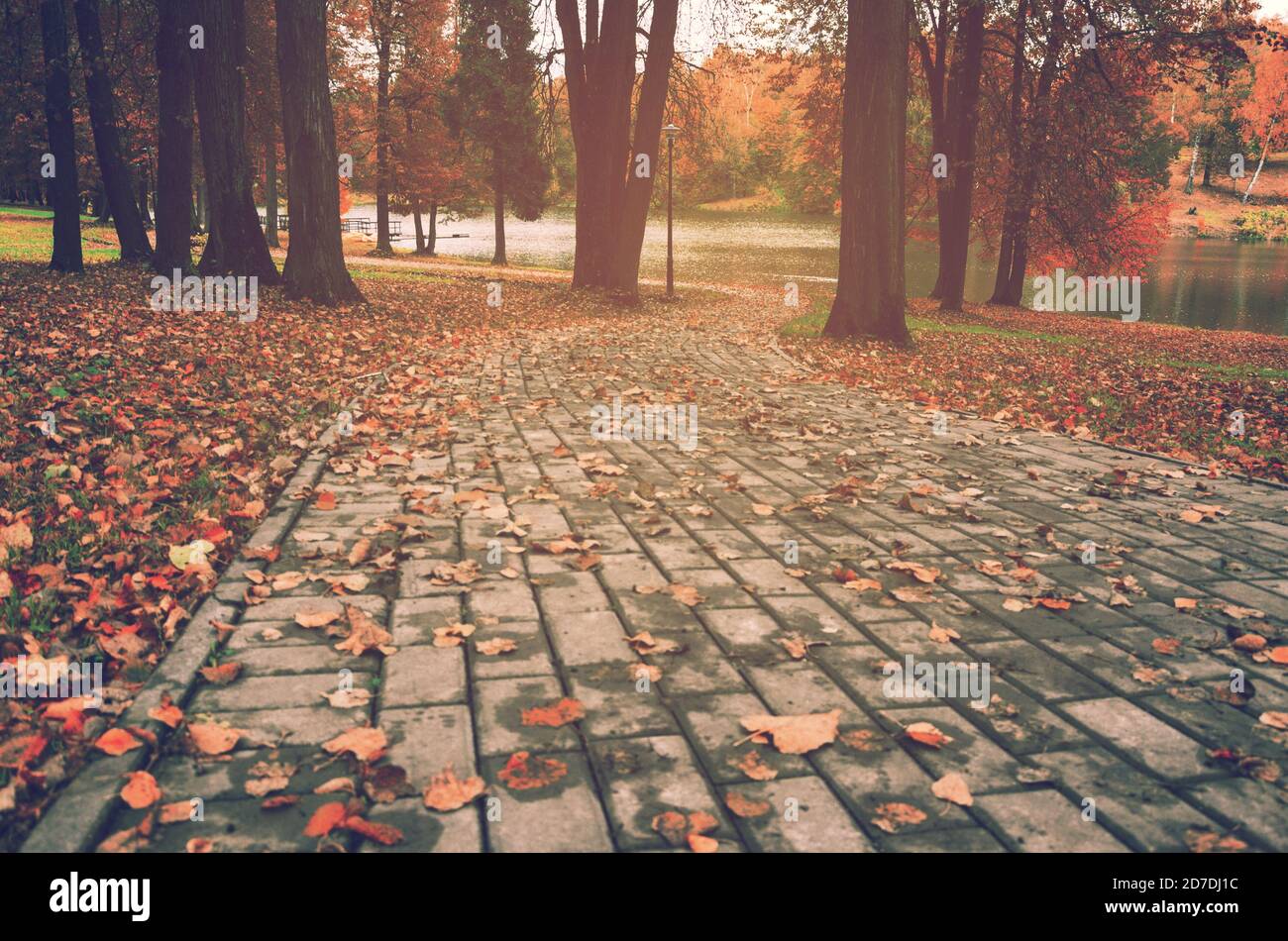 Autumn landscape with empty stone tile road in park Stock Photo - Alamy