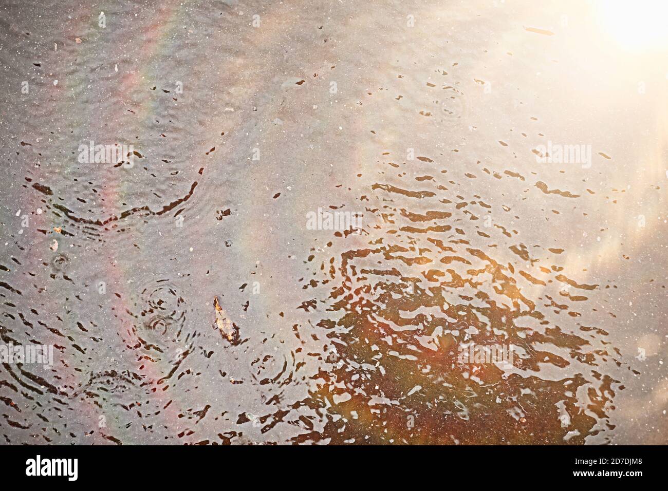 Autumn rain in the park during the day Stock Photo - Alamy