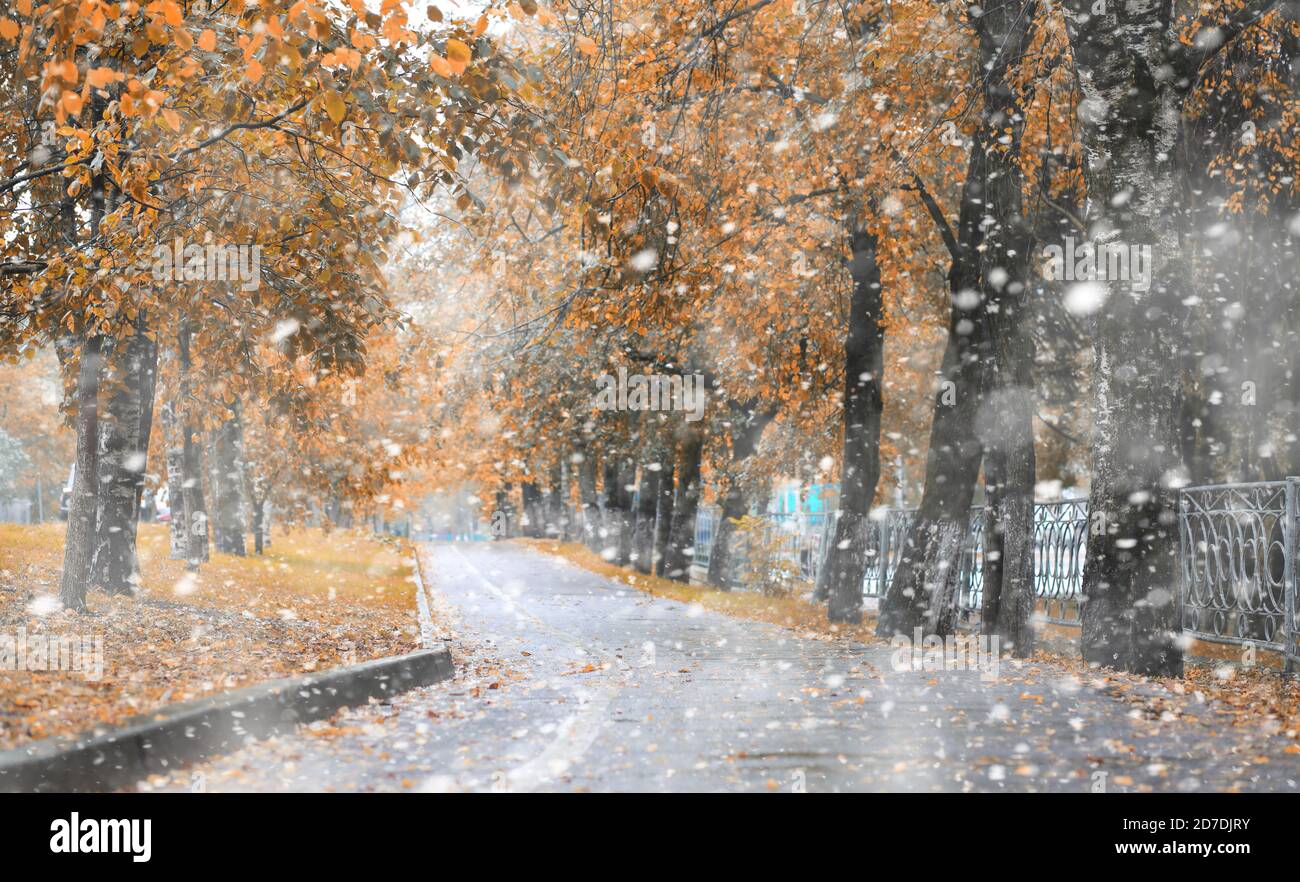 Autumn park in the days of the first snow Stock Photo - Alamy