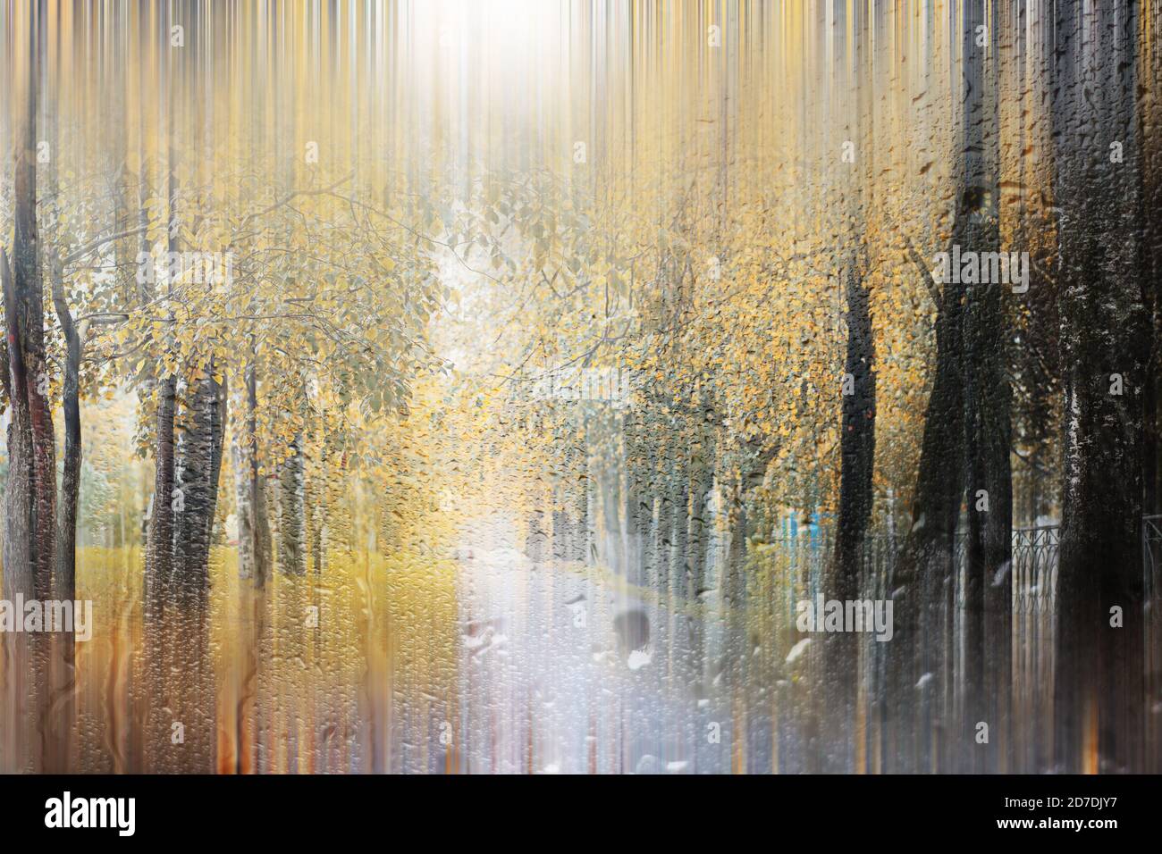 Background autumn rain in the park during the day Stock Photo - Alamy