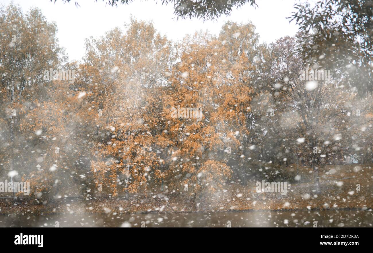Autumn park in the days of the first snow Stock Photo - Alamy