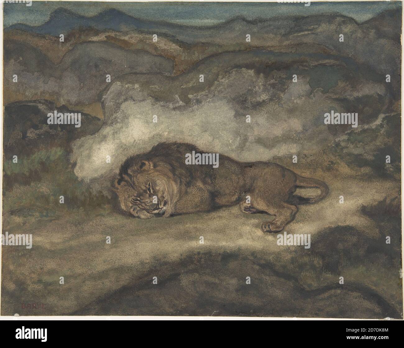 Sleeping Lion Drawing High Resolution Stock Photography and Images - Alamy