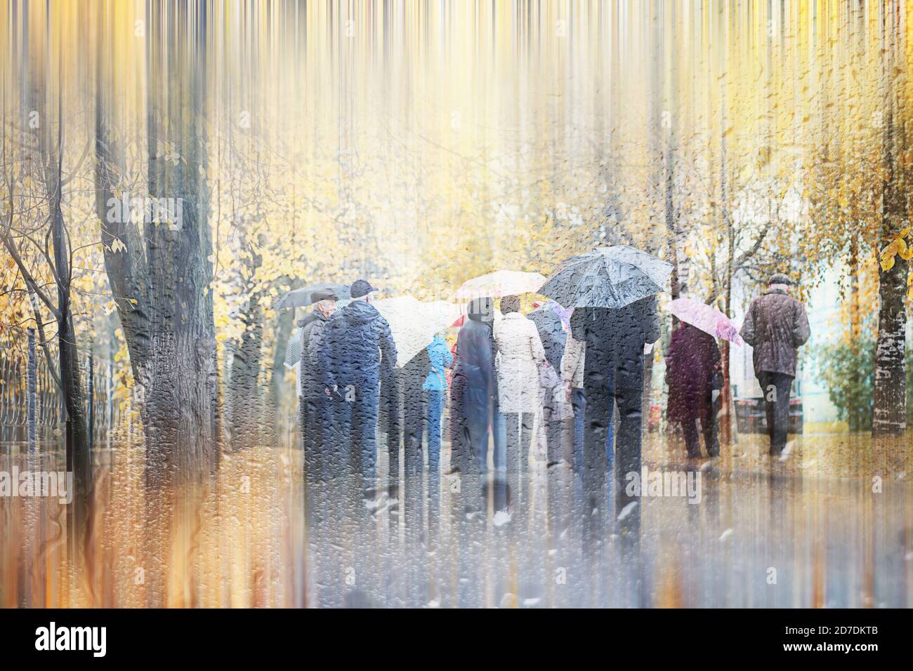 Background autumn rain in the park during the day Stock Photo - Alamy