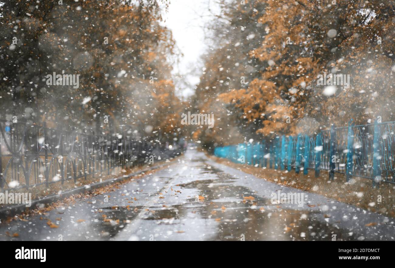 Autumn park in the days of the first snow Stock Photo - Alamy
