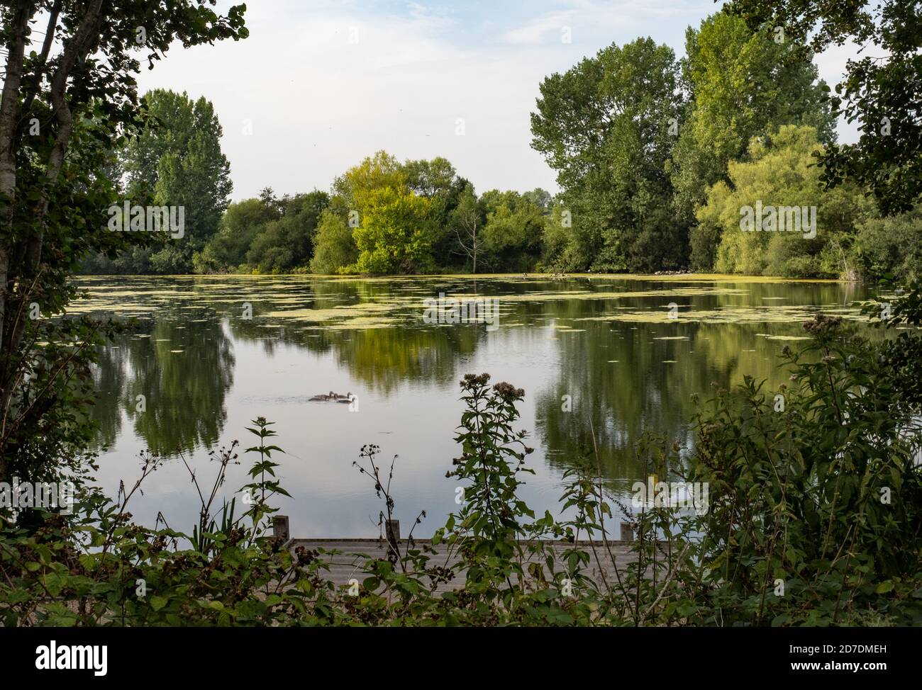 Langford lakes hi-res stock photography and images - Alamy