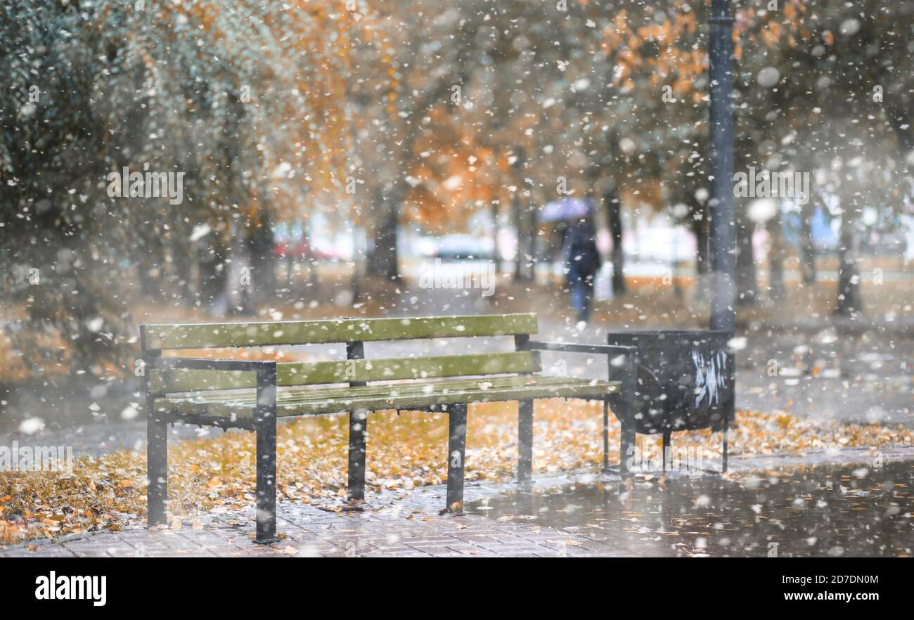 Autumn park in the days of the first snow Stock Photo - Alamy