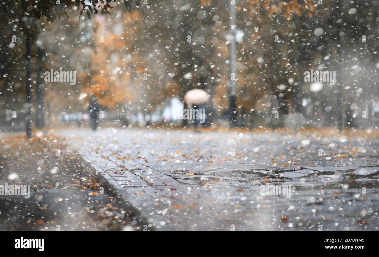 Autumn park in the days of the first snow Stock Photo - Alamy