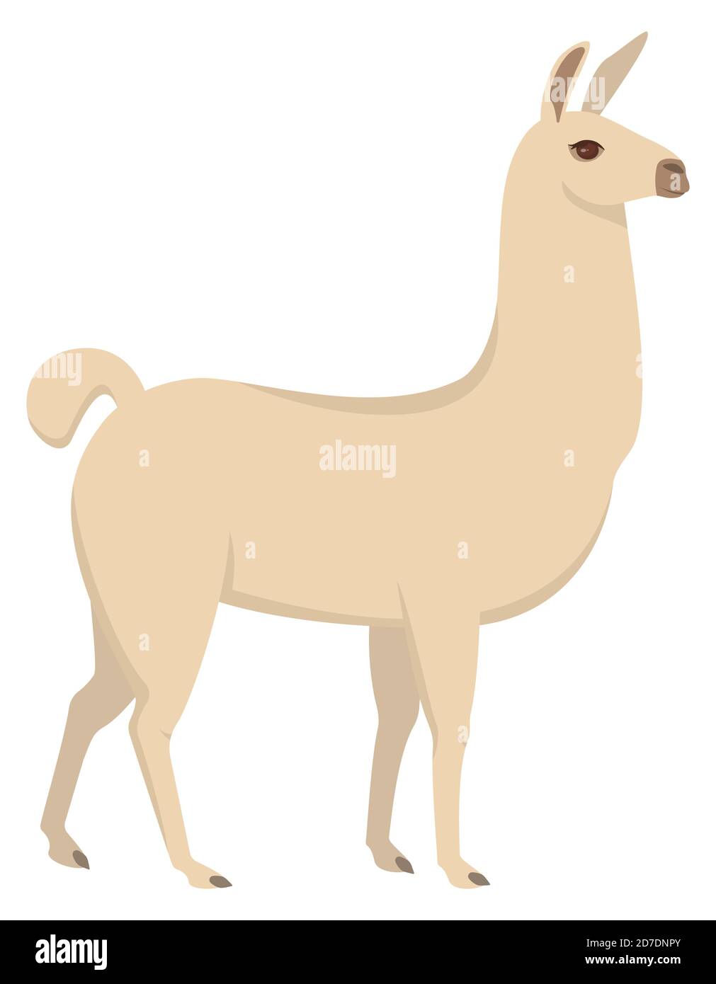 Animal llama Stock Vector Images - Alamy