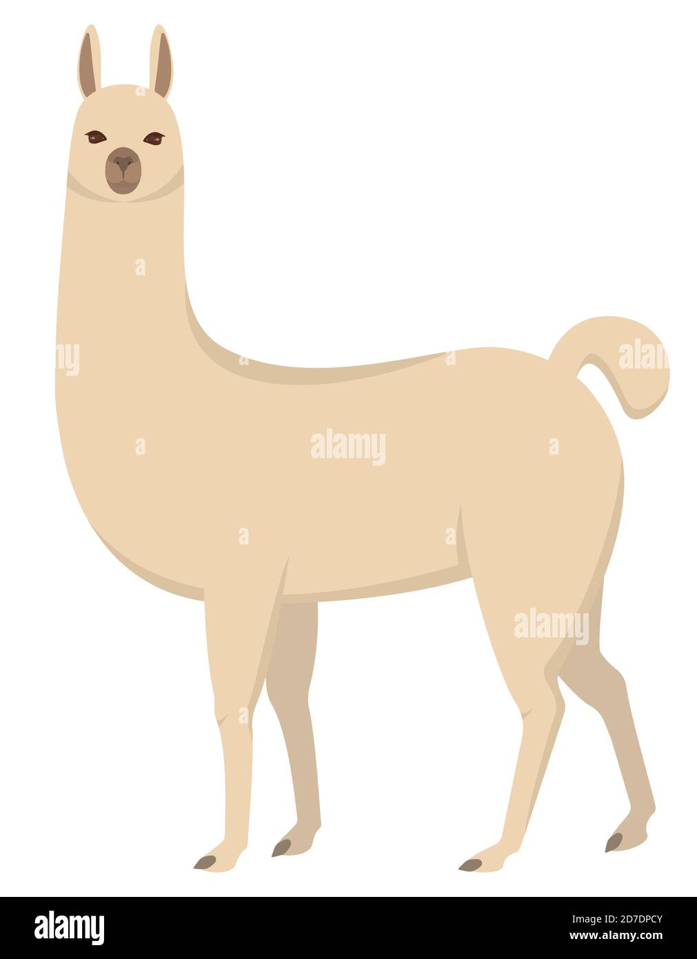 Cartoon character lama animal Cut Out Stock Images & Pictures - Alamy