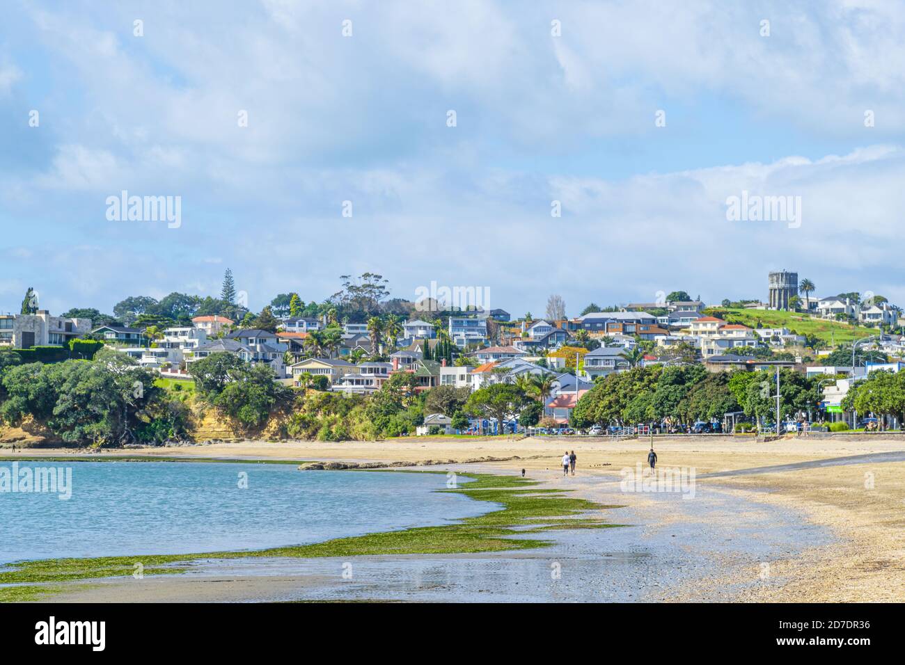 AUCKLAND, NEW ZEALAND - Sep 10, 2019: Auckland / New Zealand ...