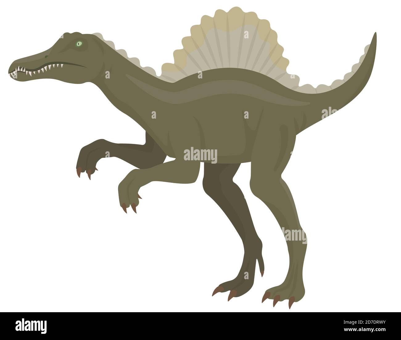 Spinosaurus in cartoon style. Predatory dinosaur isolated on white ...