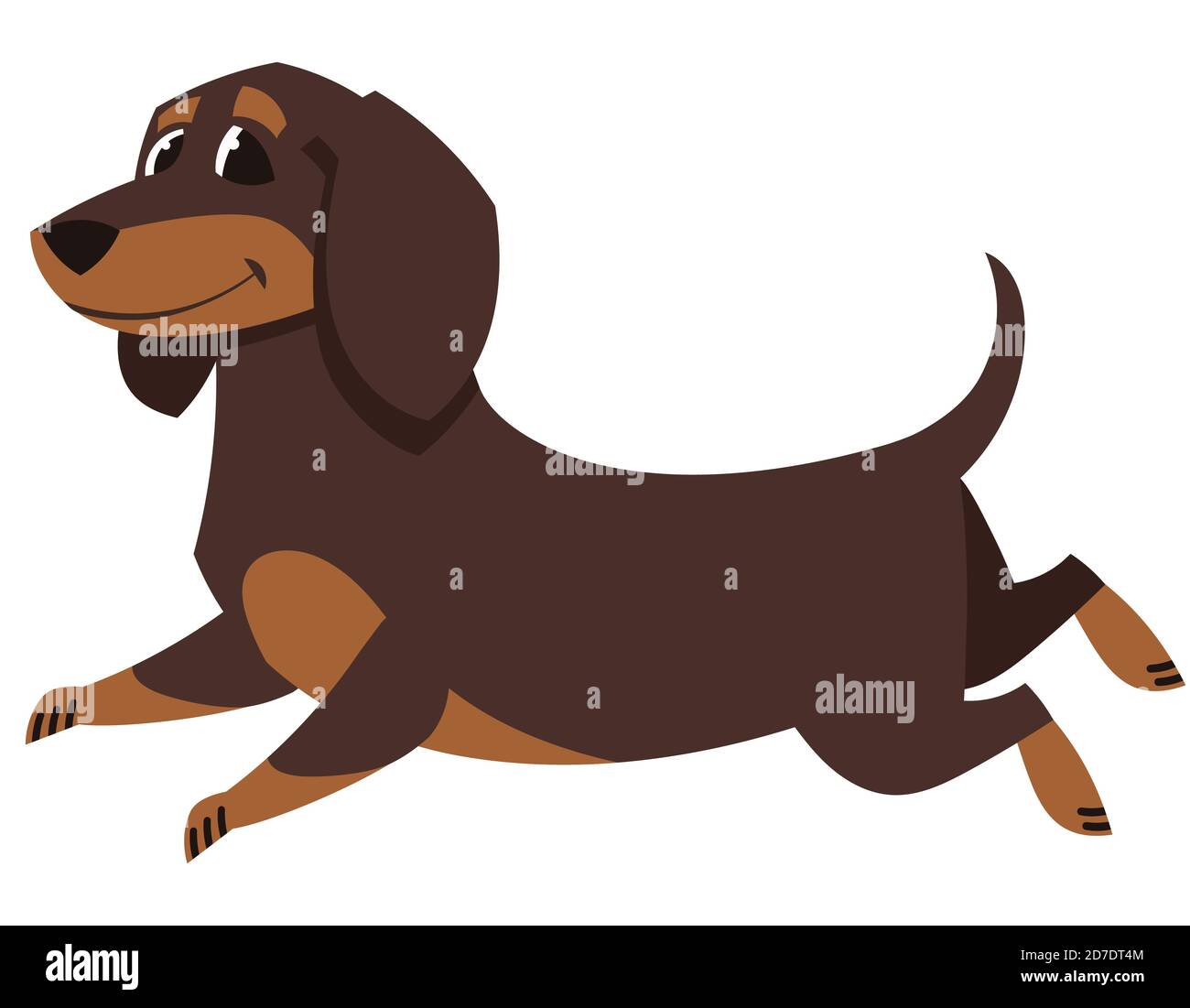 Dachshund dog cartoon illustration hi-res stock photography and images ...
