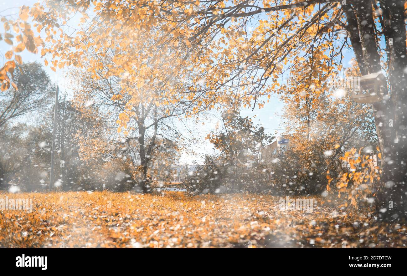 Autumn park in the days of the first snow Stock Photo - Alamy