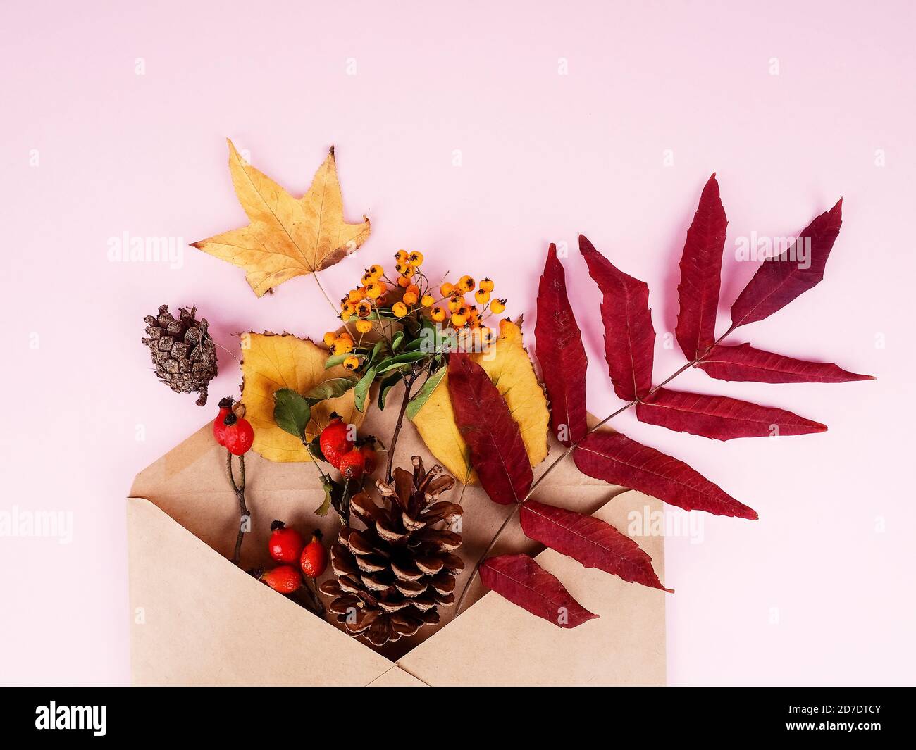 Autumn composition. Envelope with dried flowers and leaves on pastel ...
