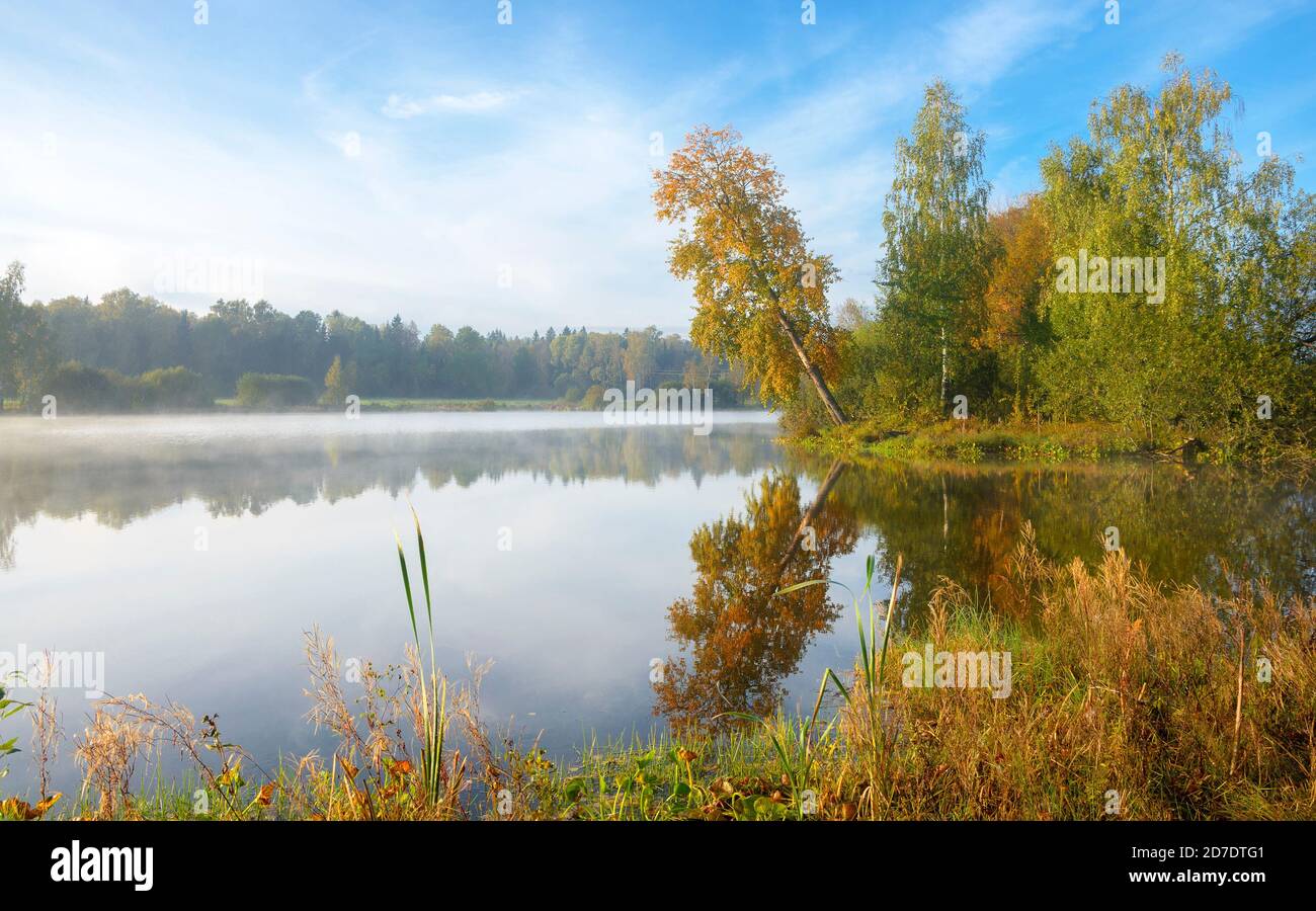 Sunny autumn landscape with trees and calm lake during sunrise Stock Photo - Alamy
